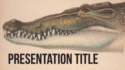 Amphibians ? Free Presentation Theme Template Amphibian Animals. Power ...